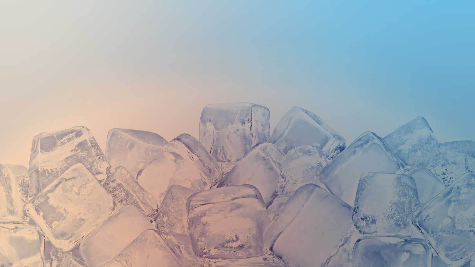 New Beverage Lines - The Ferri Group